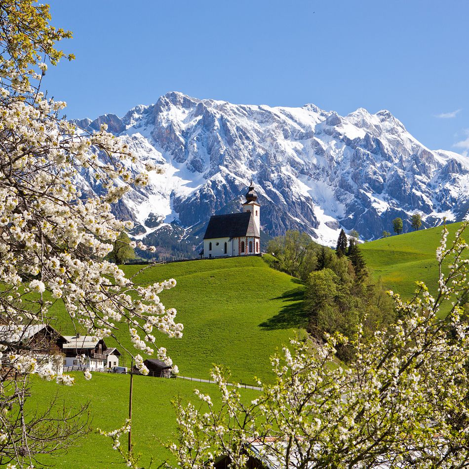 Holidays in Dienten at the Hochkönig